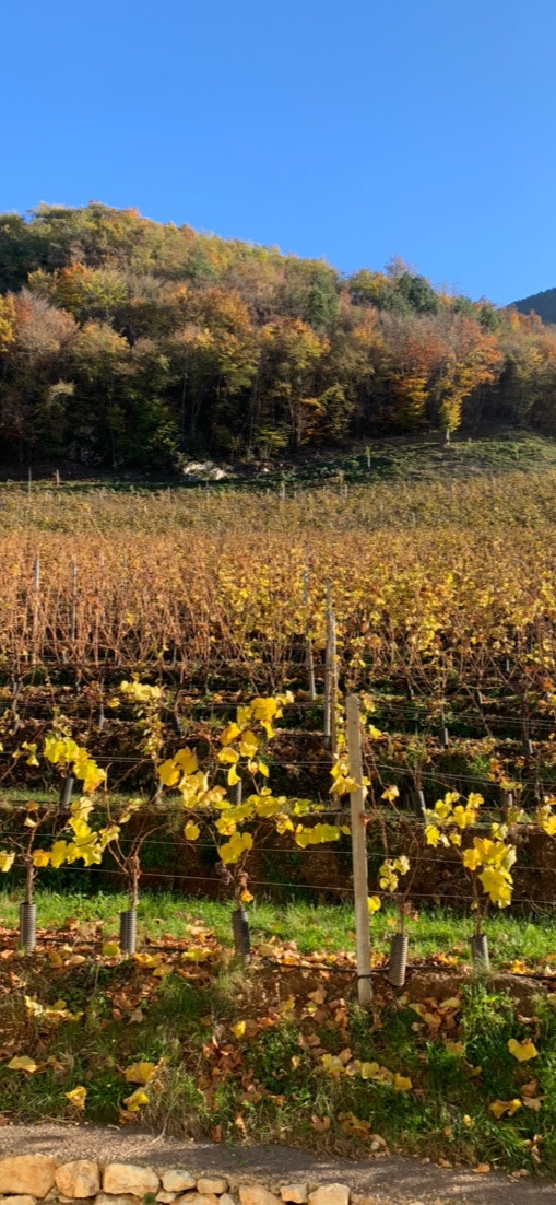 Erste Heimat, Labdrisch. – Demanega