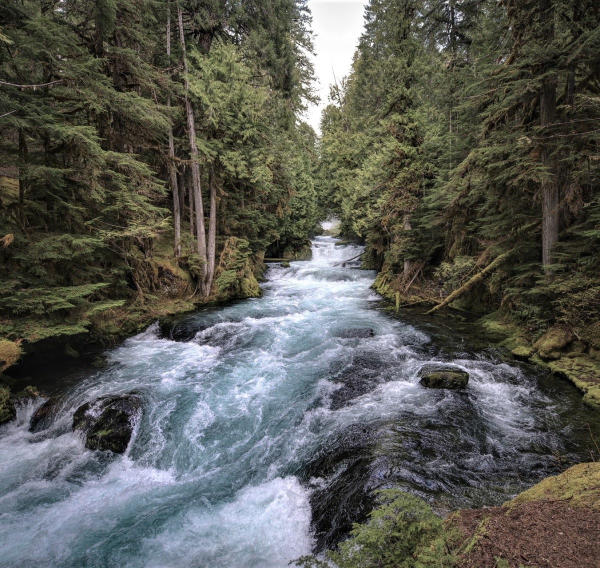 Widerstand gegen die Naturgefahr: Wildbäche und Wildbachgefahr – Demanega