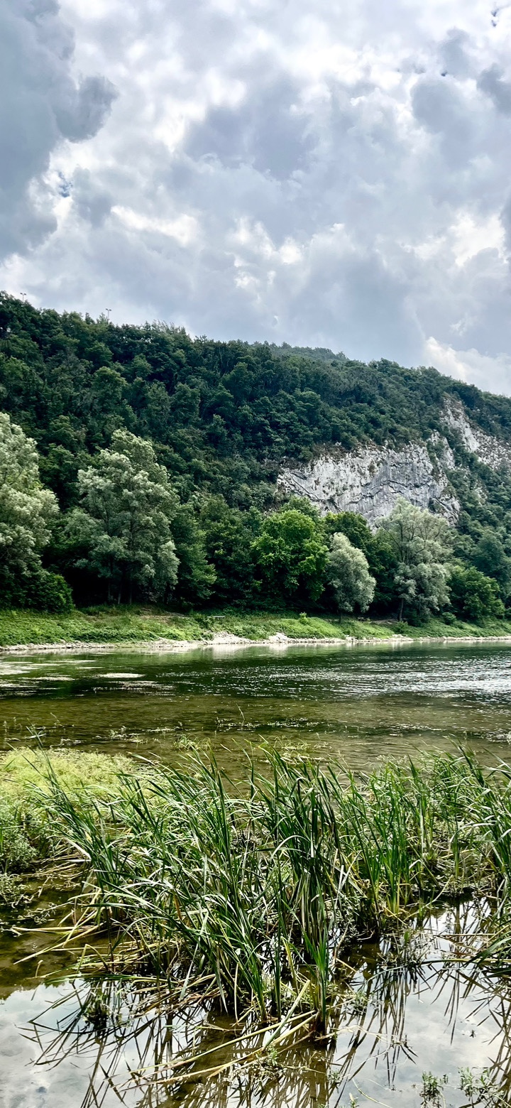 Konstruktiver Wasserbau & Biodiversität – Demanega