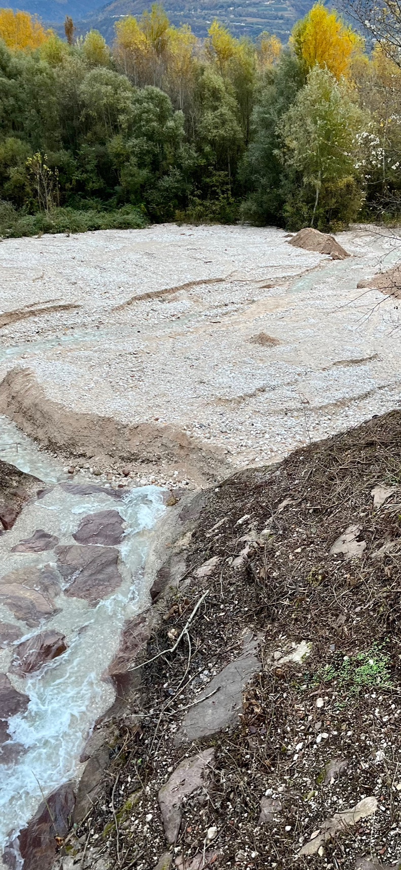 DMN* Bioengineering _ ReThink, ReBuild, ReForce – Demanega