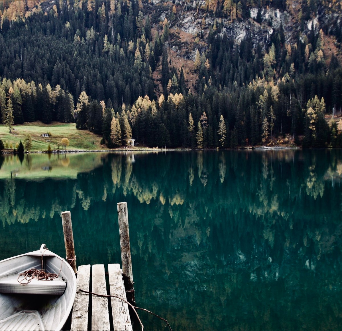 Projekt DMN* 200plus – Demanega