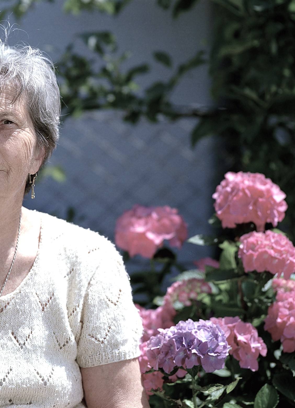 Demanega – #dmnengineering