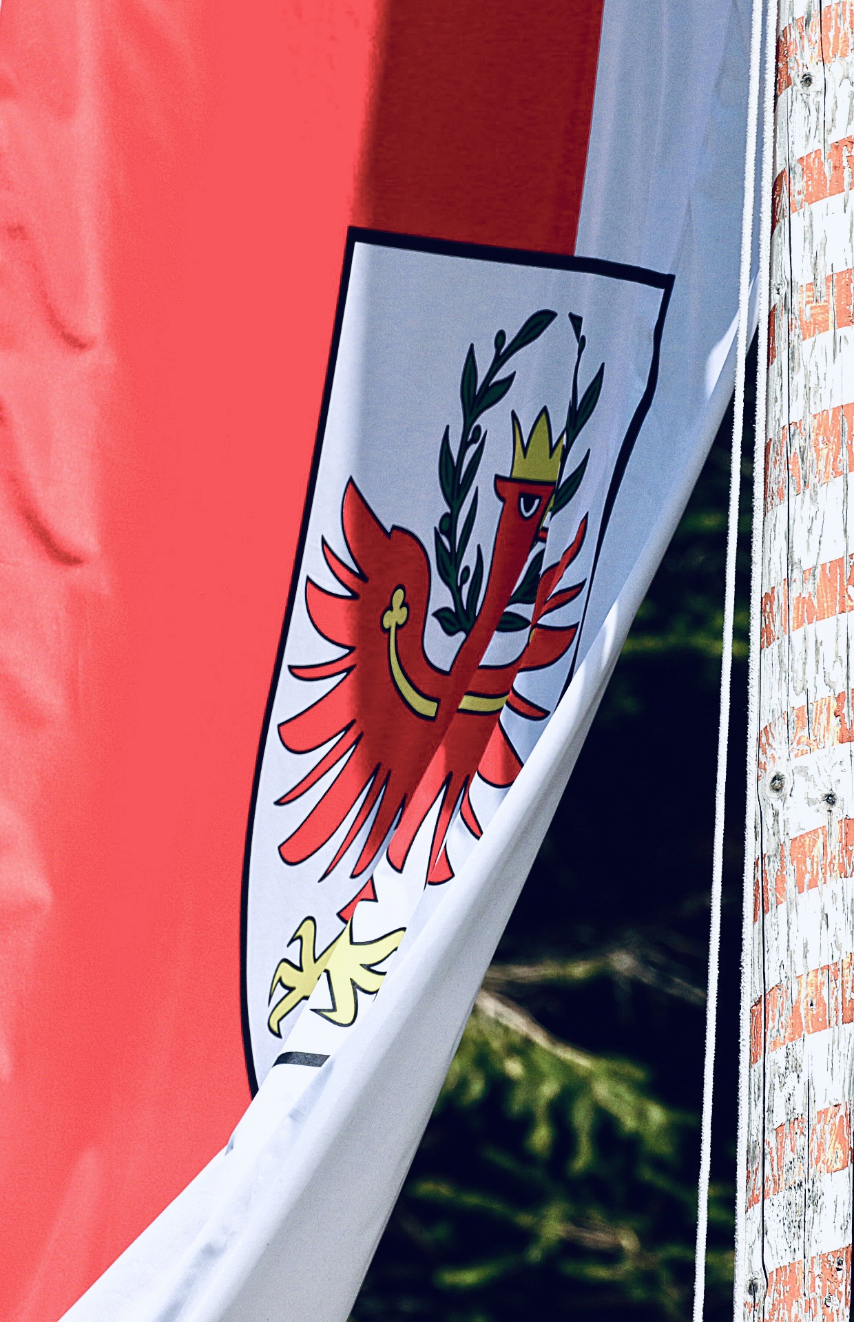 Demanega – #dmnengineering