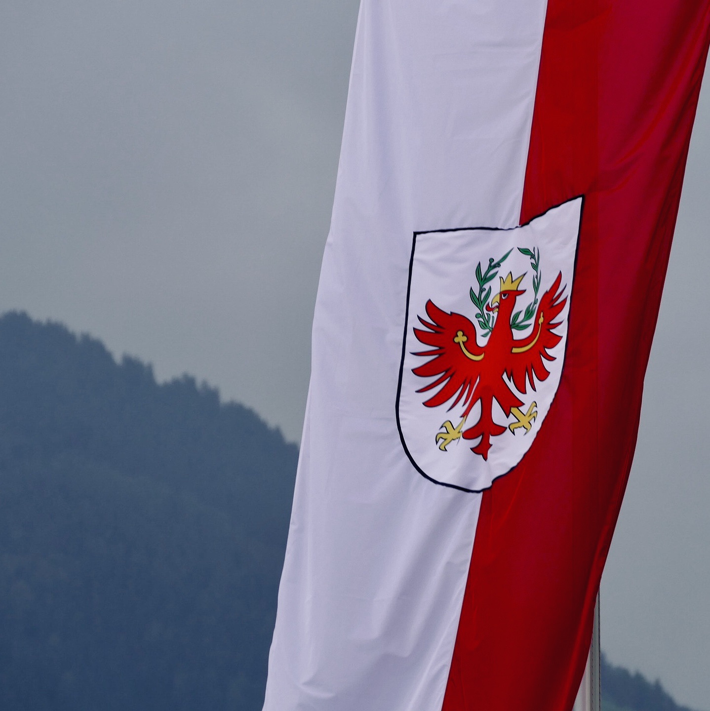 Demanega – #dmnengineering