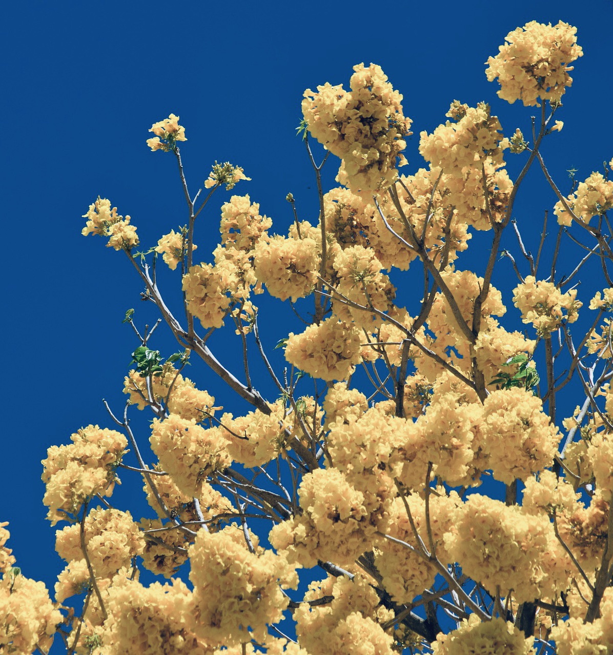 Demanega – #dmnengineering