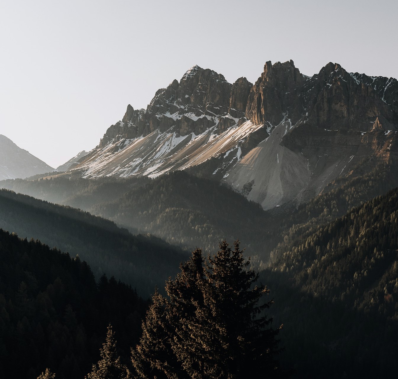 Demanega – #dmnengineering