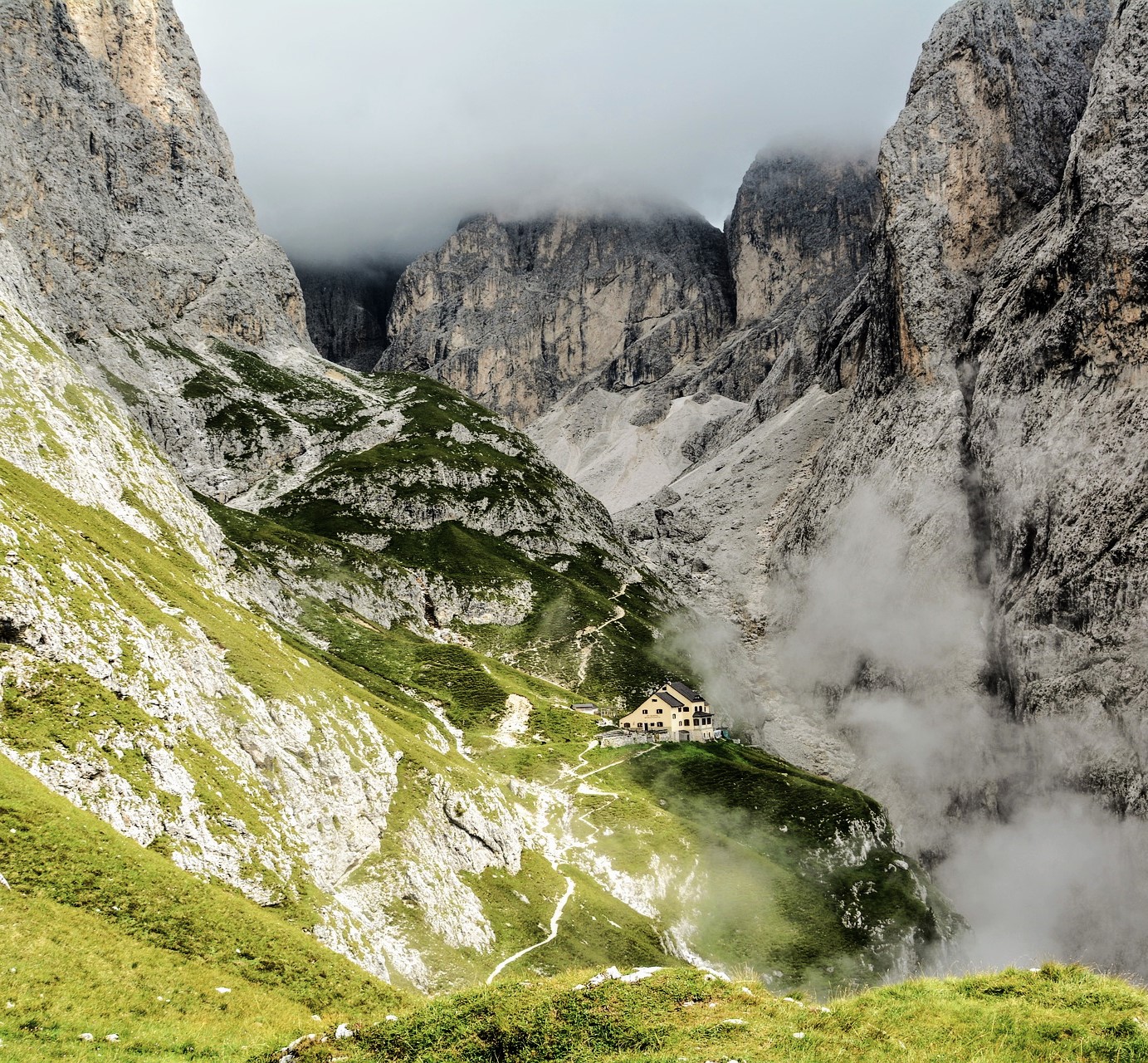 Demanega – #bioengineering