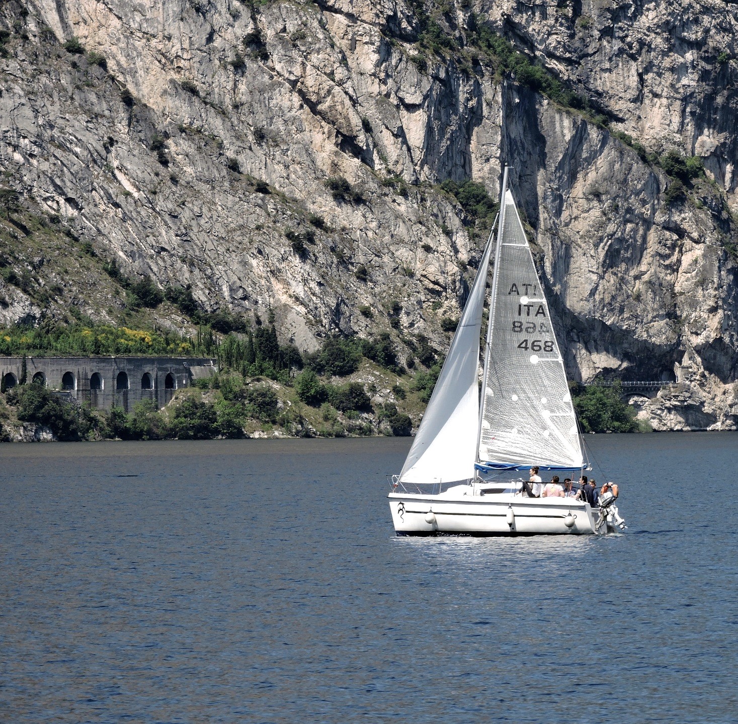 Demanega – #bioengineering