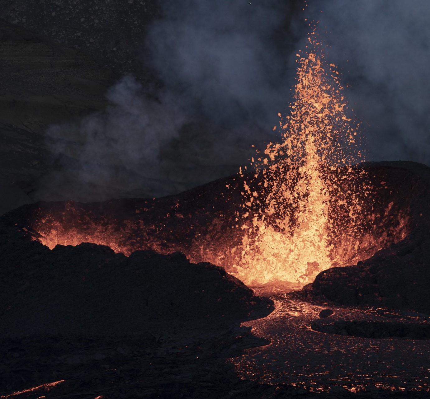 Demanega – #bioengineering