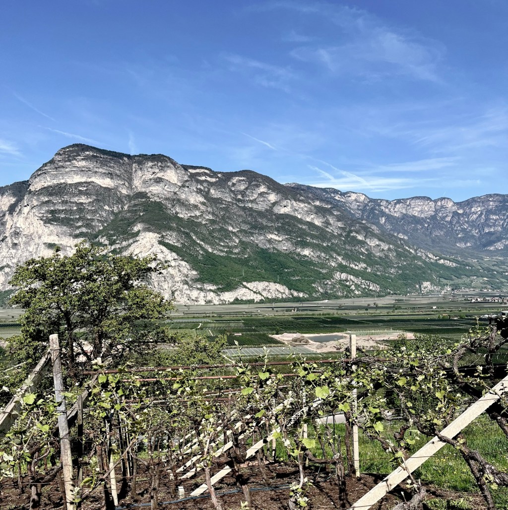 Demanega – #bioengineering