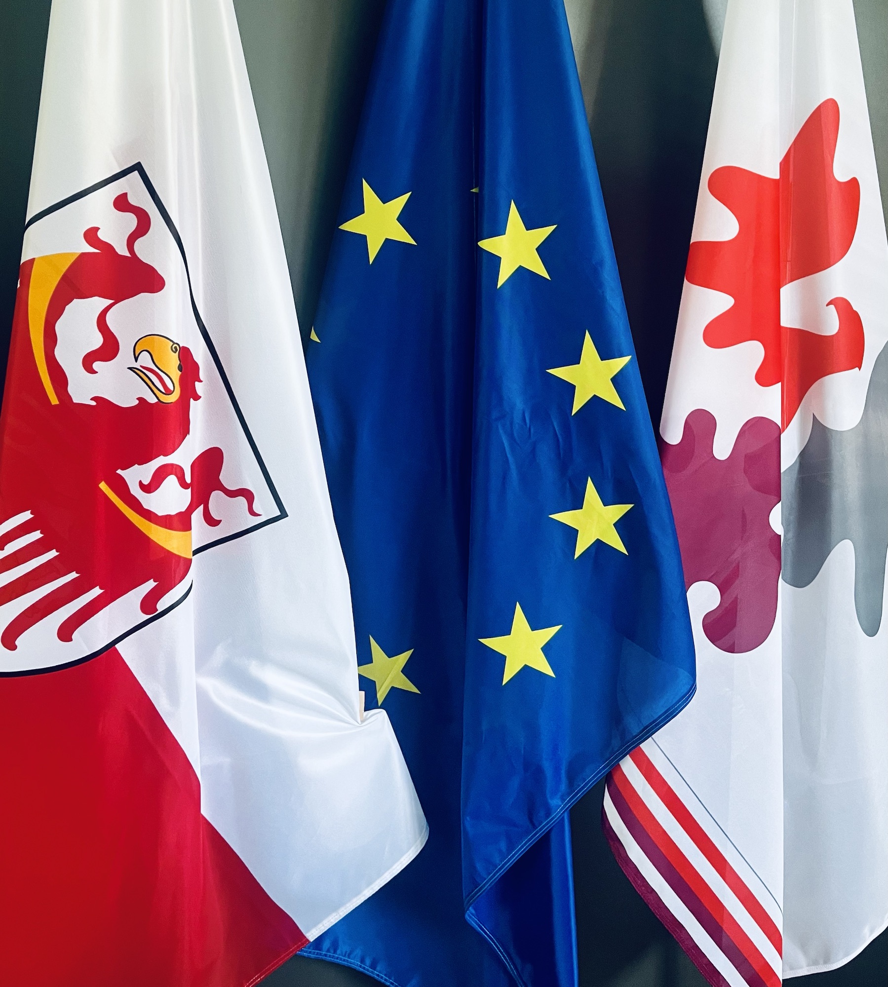 Demanega – #bioengineering