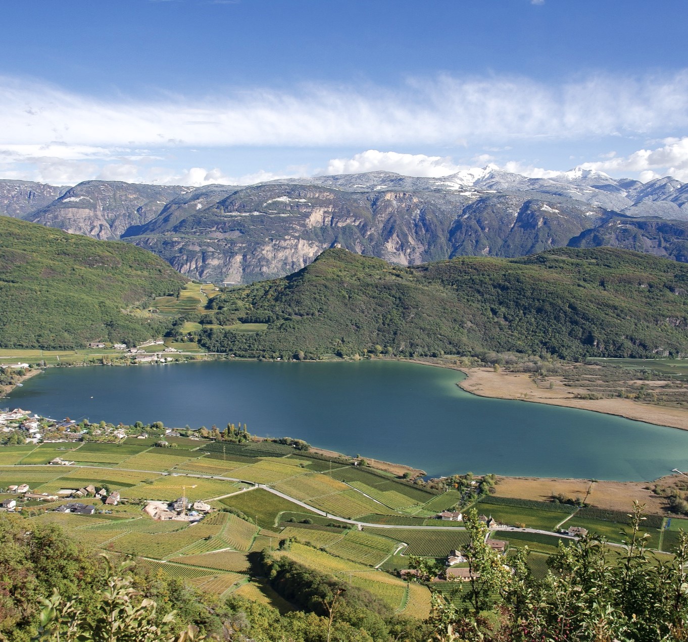 Demanega – #bioengineering