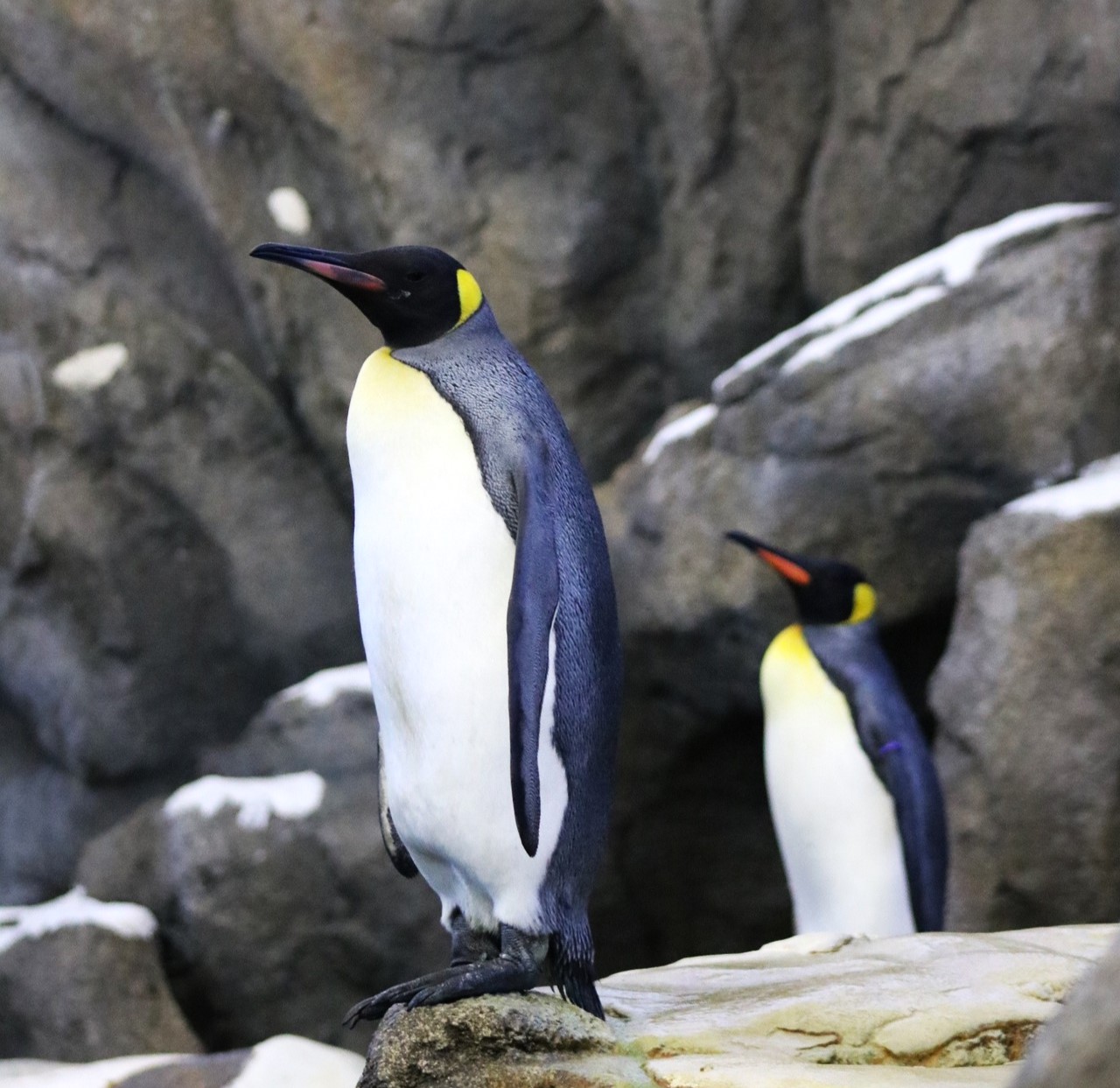 Demanega – #bioengineering