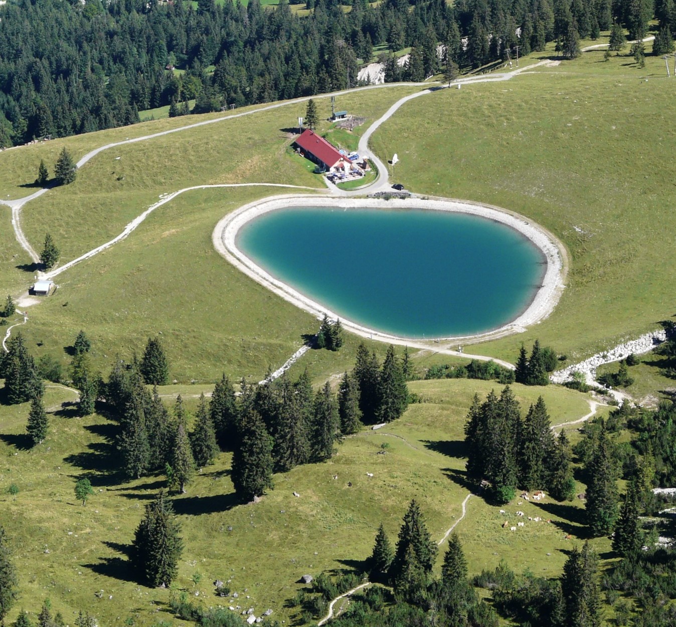 Demanega – #bioengineering